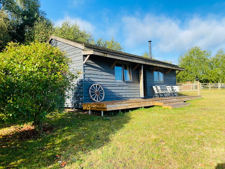 Rustic Cedar Cabin Overlooking Sherwood Forest. - Sherwood Forest