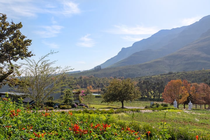 Adonay Suite 1a - Stellenbosch