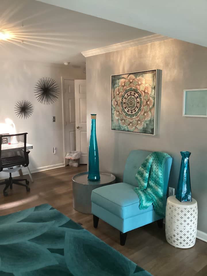 Private Full Basement In A Single Family Home - National Harbor