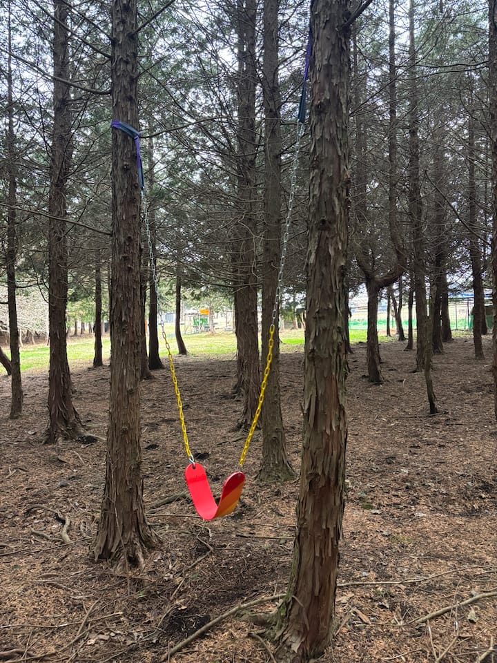 富士山が一望できるBbqサイト利用可（無料）。動物触れ合いが楽しめる。【和室3人部屋】 - Fuji