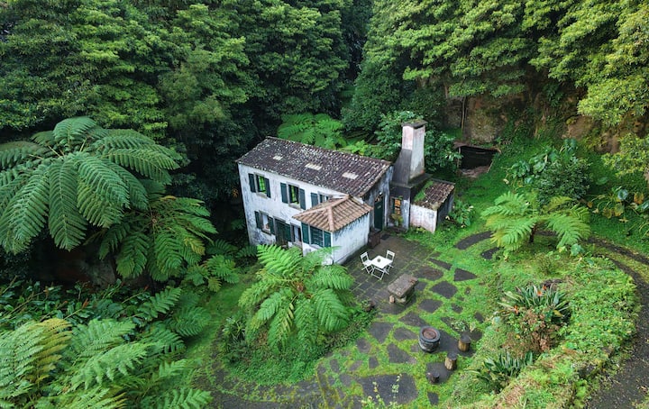 Waterfall Life: Secluded Nature-immersion - Azores