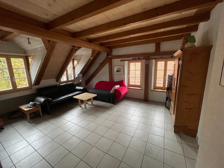 Charming Apartment Jan-mid April 2026 3,5 Rooms - Bienne