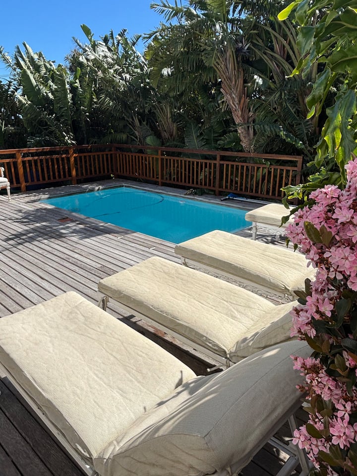 Houghton Hues - Ciudad del Cabo