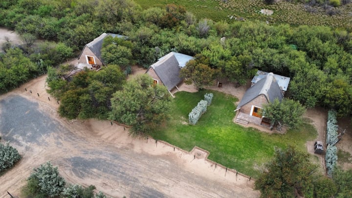 The Shed Thatches - Western Cape