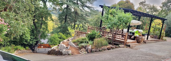 Spacious 1bd  Studio W/view & 1 Small Car Parking - Walnut Creek, CA