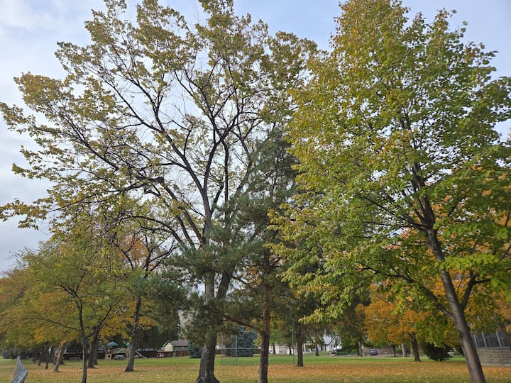 Highway1hideaway Two Br W/kitchen-hottub-firepit - Kamloops