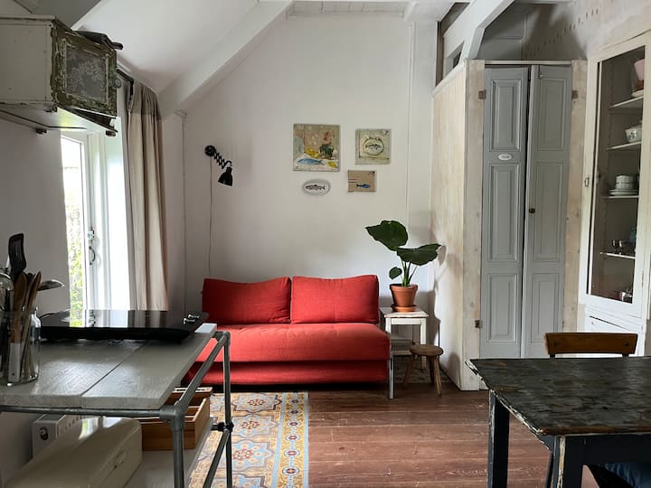 Studio Pekelvisch Op Het Friese Platteland - Harlingen