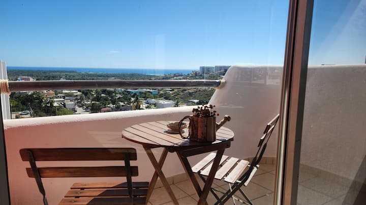 Amazing Ocean View! Walk To Downtown And Beach - San José del Cabo