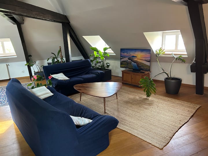 Metz Centre Appartement - メッス