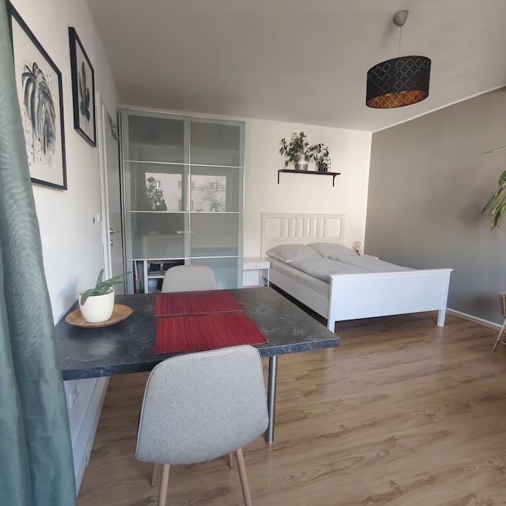 Linz Urfahr Zentrum Mit Parkplatz/ Urfahr Centre - Linz