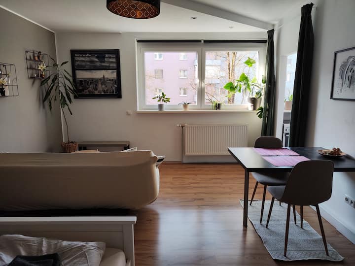 Zentrale Wohnung In Urfahr, Nahe Zentrum.parkplatz - Linz