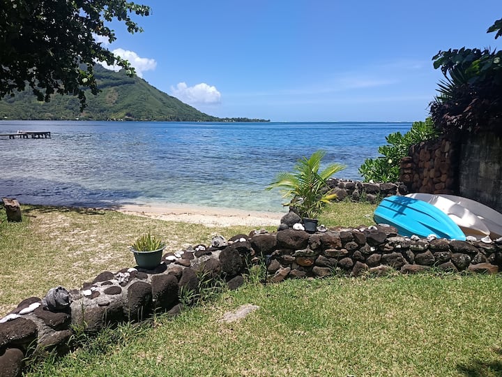 La Perle De Moorea Fare Honu Bord De Lagon - French Polynesia