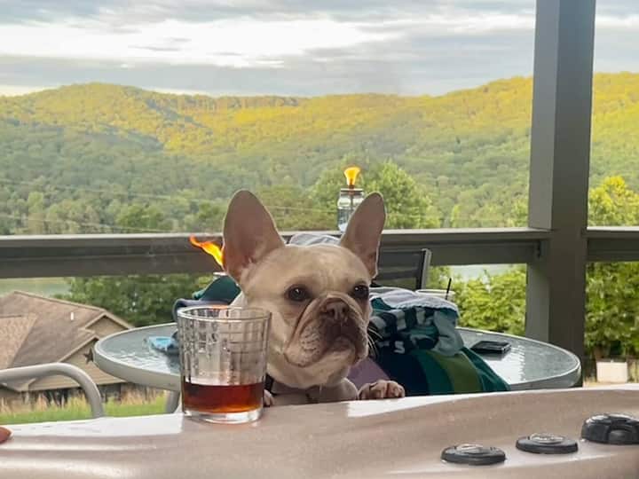 Happydaze Condo: Ridge/lake Views, Private Hot Tub - Norris Lake