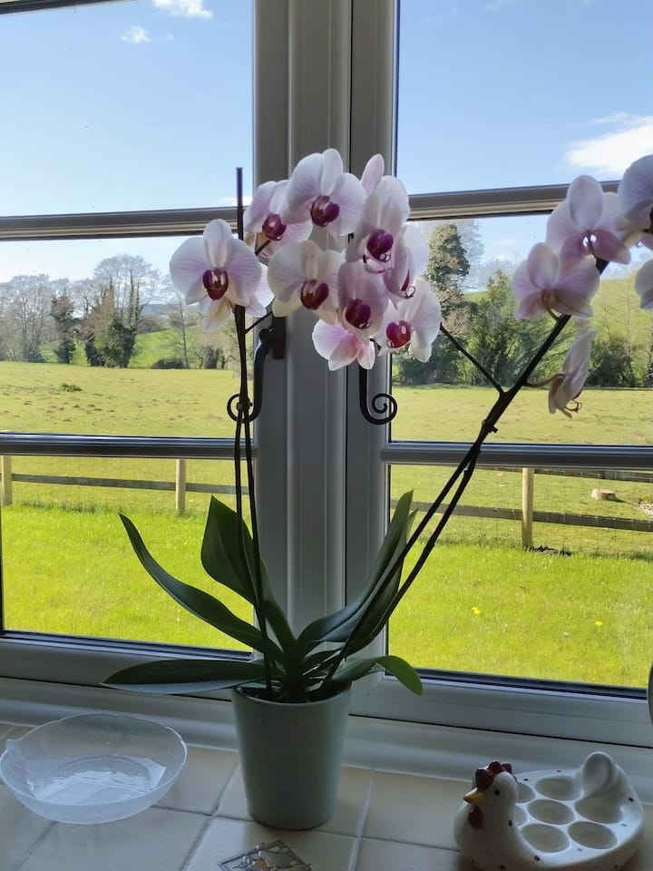 Spacious Comfy And Cosy Ground Floor Private Home. - Worcestershire