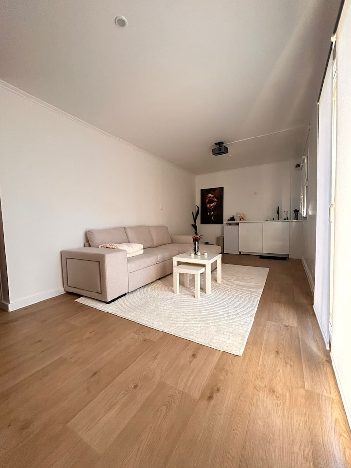 Studio Prenium / Terrasse Xxl/sky Screen Vidéo - Aulnay-sous-Bois