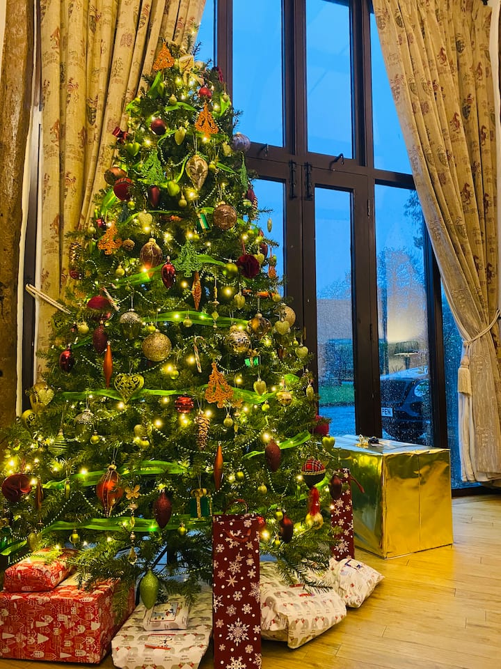 Somerset | Festive Stays £6k - Taunton