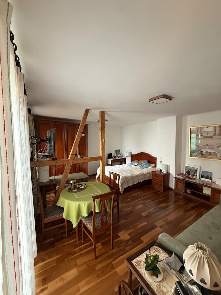 Studio In A Very Center Of Baden-baden - Baden-Baden