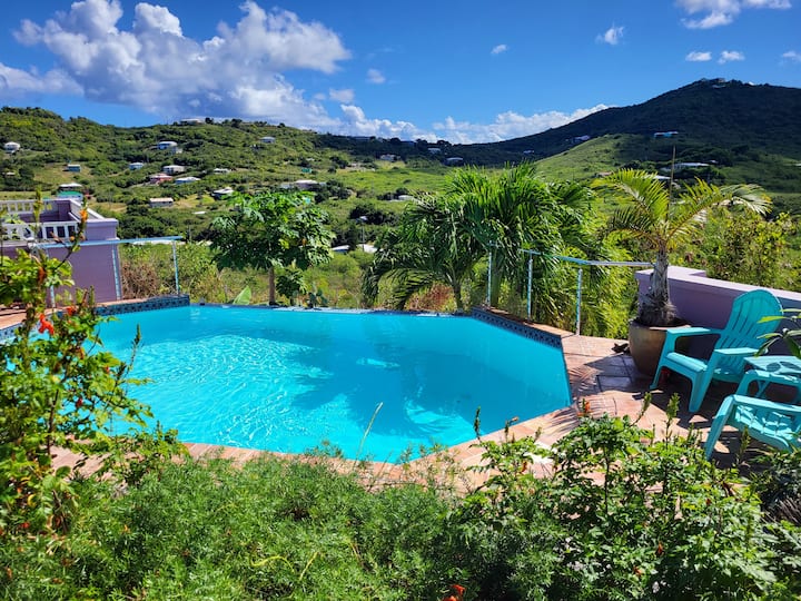 The Cat's Meow - Saint Croix