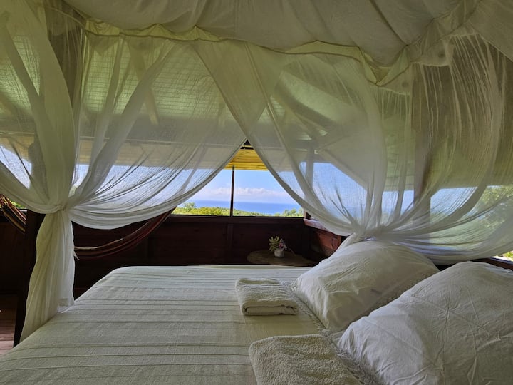 Rêvez Marie-galante ! Rêvez Appaloosa Lodge ! - Marie-Galante