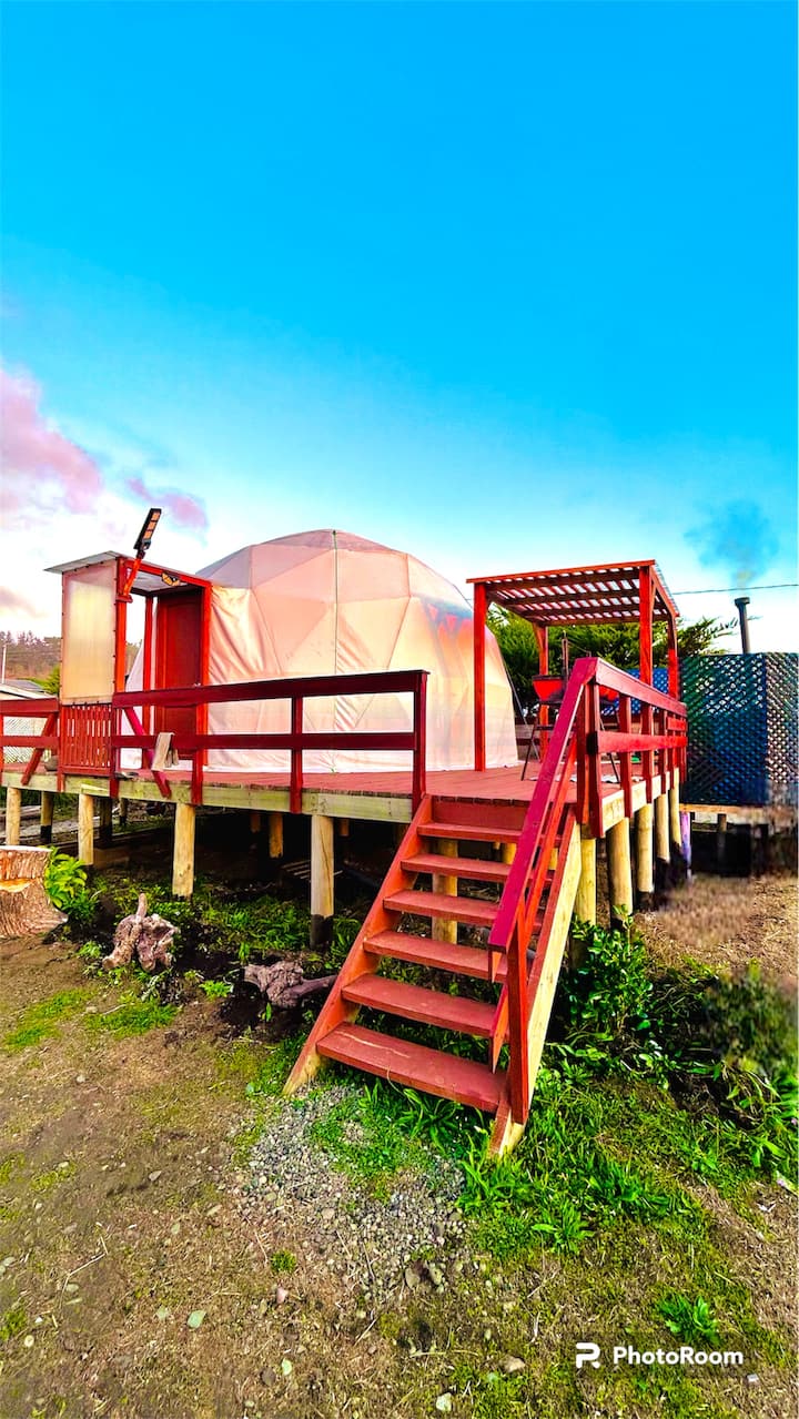 Domo Seawolf - Cobquecura