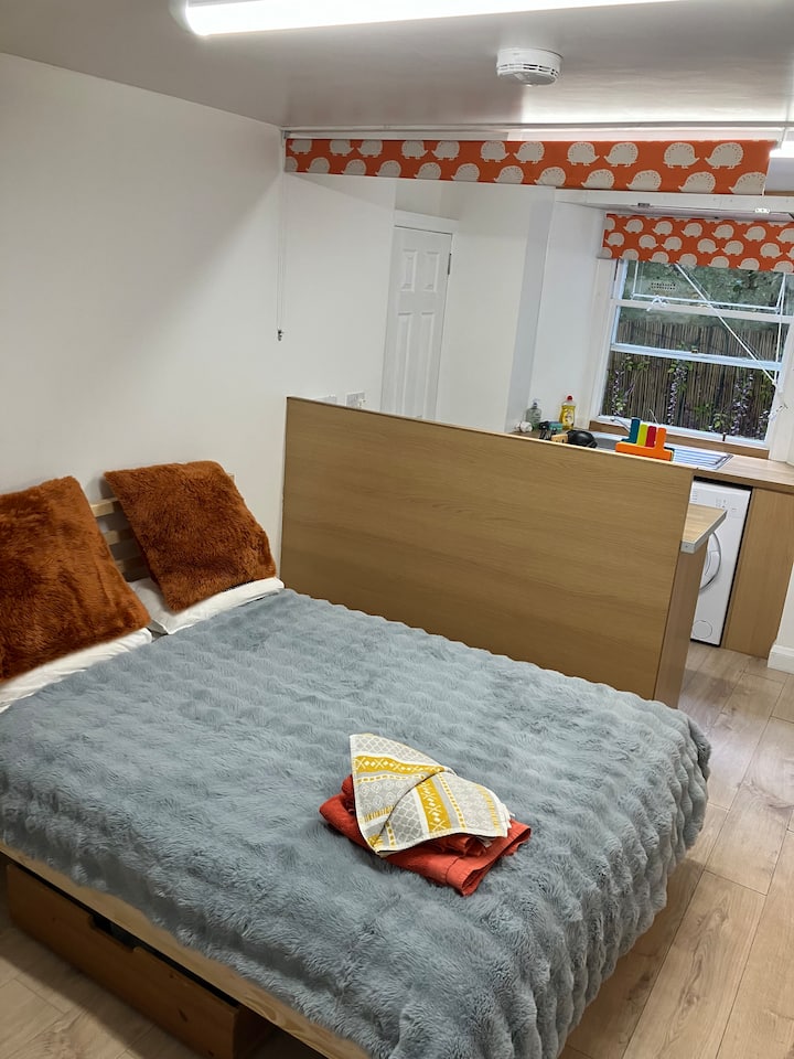 Entire Rental Unit City Center Old Town Edinburgh - Leith