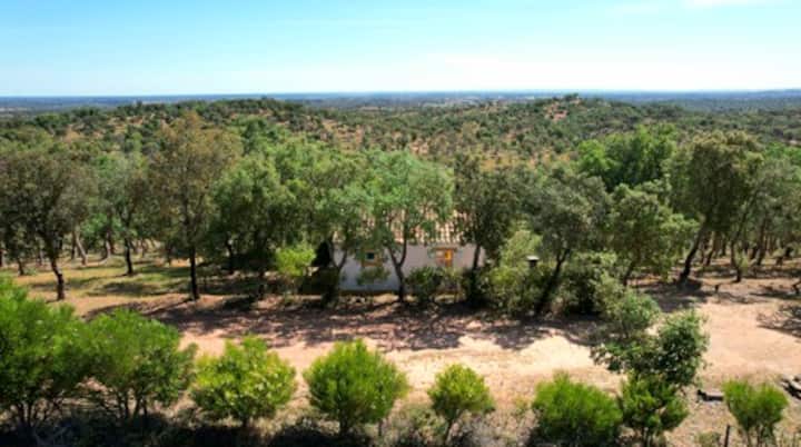 Silêncio E Bem Estar - Santiago do Cacém