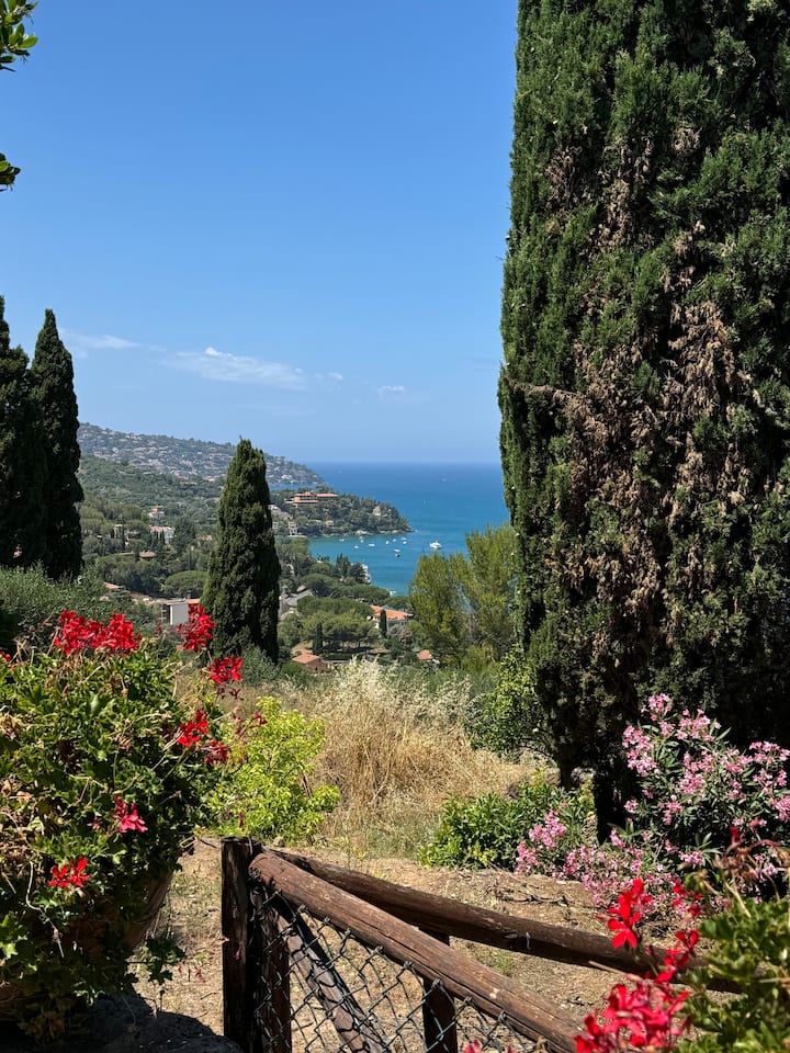 Il Glicine - Monte Argentario