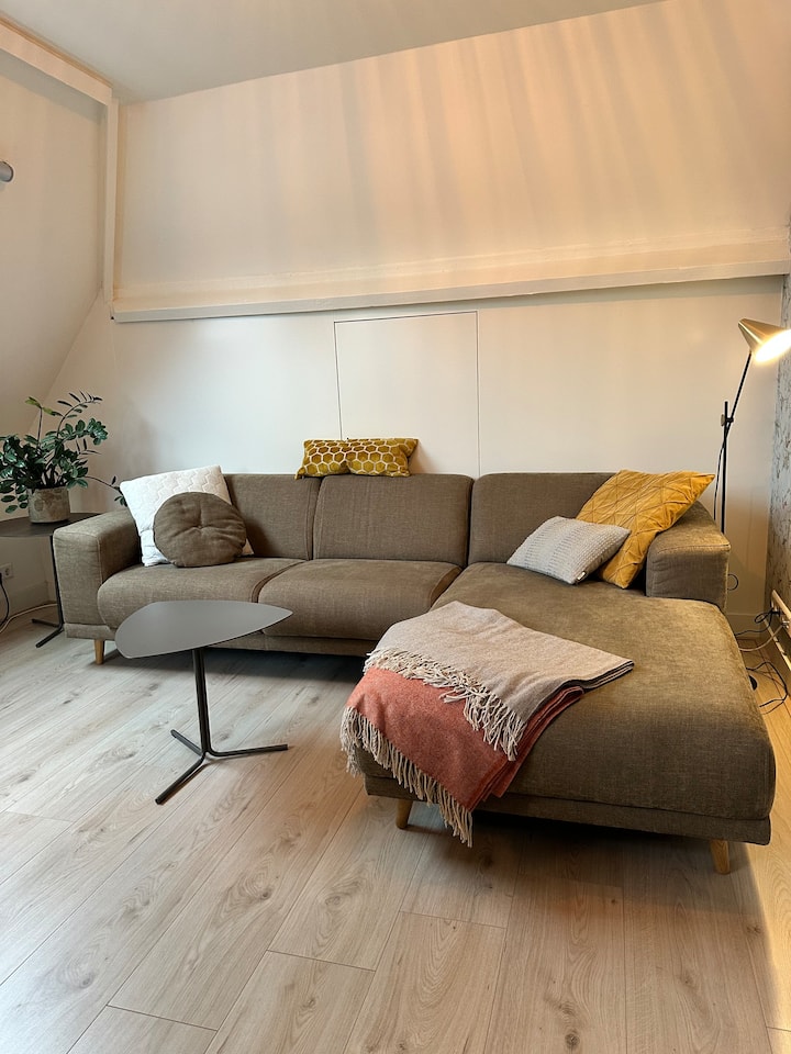 Top City-apartment & Private Parking/bikes - Den Haag