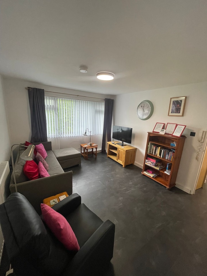 Splendid City Centre Apartment. Can Sleep 4 - Belfast