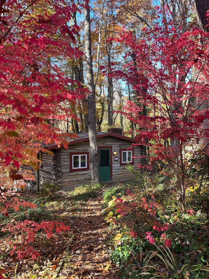 Rustic Birch Cabin - Fenced Yard / Dog Friendly! - Weaverville, NC