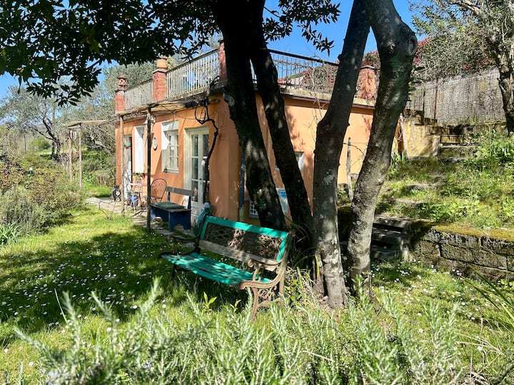 La Casa Della Pittrice - Province de Lucques