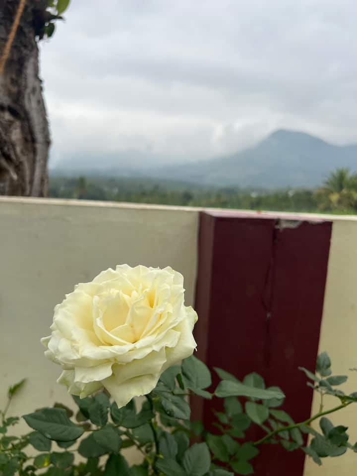 Kadampil Bliss - Marayoor