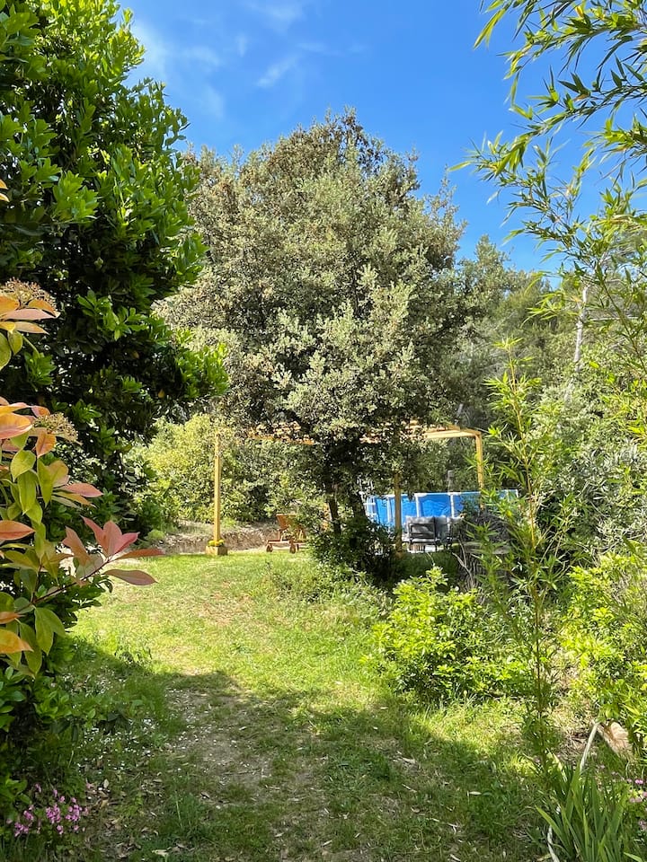 Nature, Jardin, Piscine, Vue Panoramique - Pernes-les-Fontaines