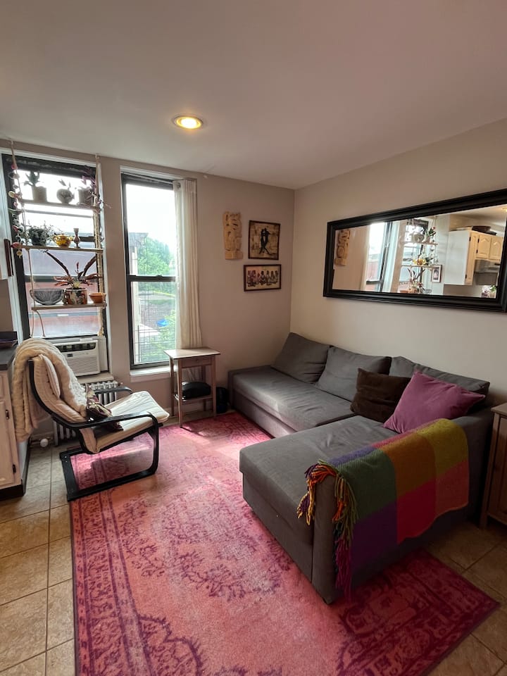 1br Apartment Close To Prospect Park - Queens, NY