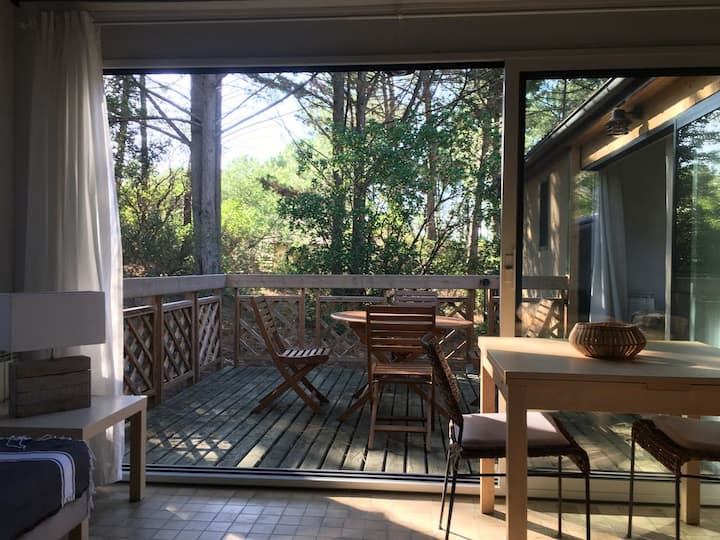 Maisonnette Au Coeur De La Pinède - Lacanau
