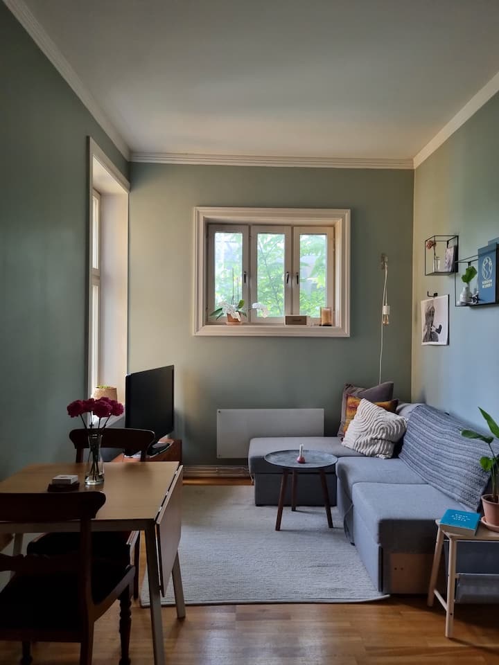 Koselig & Supersentral Leilighet I Oslo, Gamlebyen - Oslo