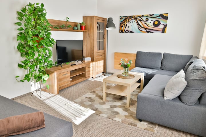 Newly Renovated 2-bedroom Apartment - Dresde