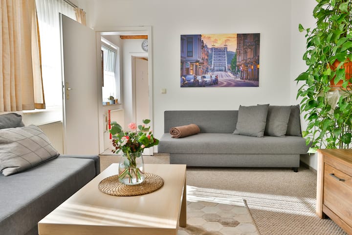 Newly Renovated 2-bedroom Apartment - Dresden