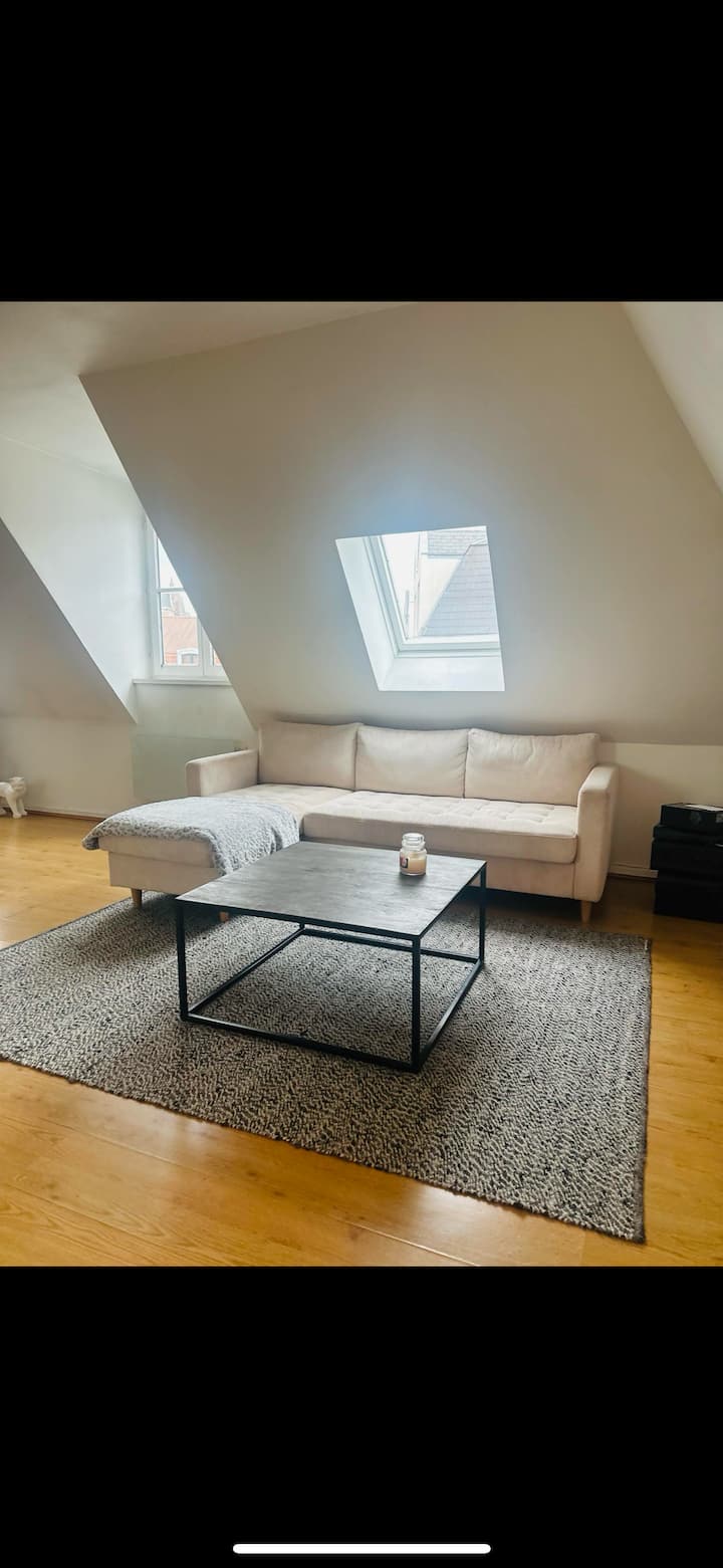 Au Cœur Du Vieux Lille - Norte