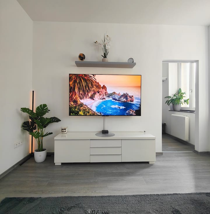 Charmant 3 Pieces Strasbourg Centre. - Estrasburgo