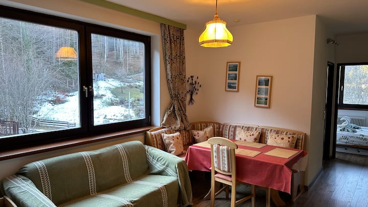 Ski & Sun Apartment In öSterreichischen Alpen Salzkammergut Oberösterreich - Bad Goisern am Hallstättersee