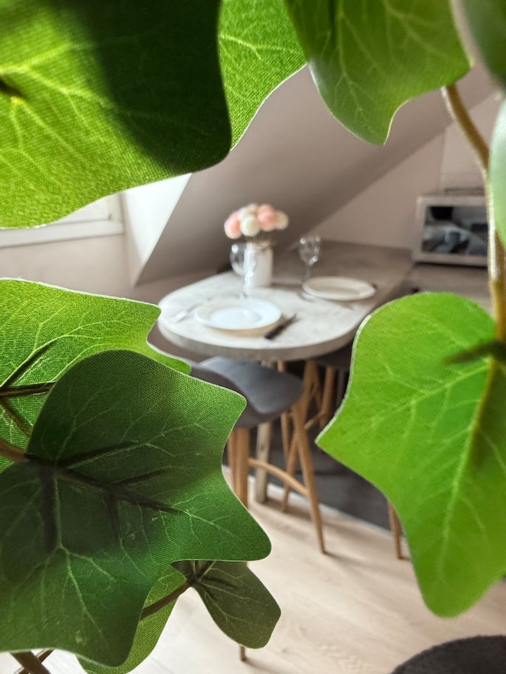 Studio Lumineux De 30 M² En Plein Centre-ville ! - Strasbourg