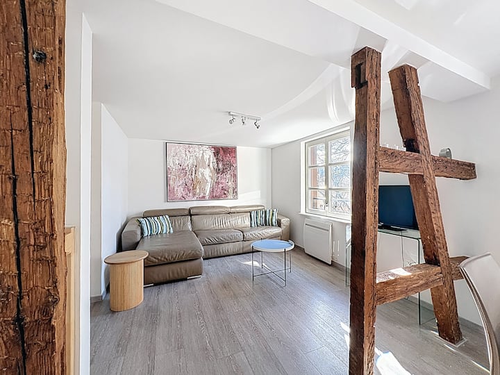 4 Pièces Duplex Au Bord De L'ill - Estrasburgo