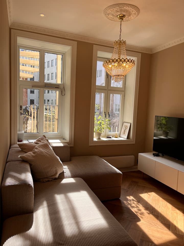 Hyggelig Og Sentral Leilighet Midt I Oslo - Oslo