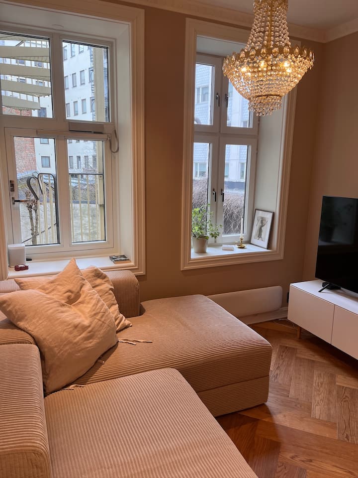 Hyggelig Og Sentral Leilighet Midt I Oslo - Oslo Central Station