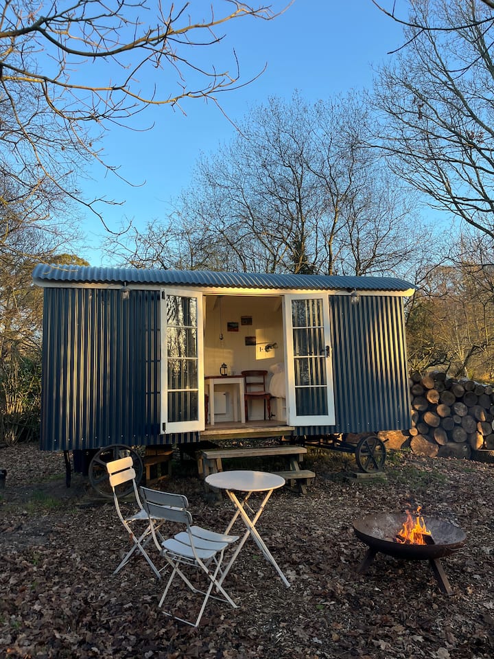 Shepherd's Hut In The New Forest - Fordingbridge
