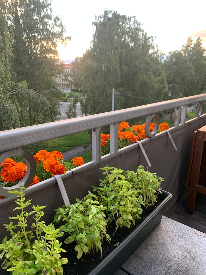 Lovely, Large And Well Equipped Home. - Oslo