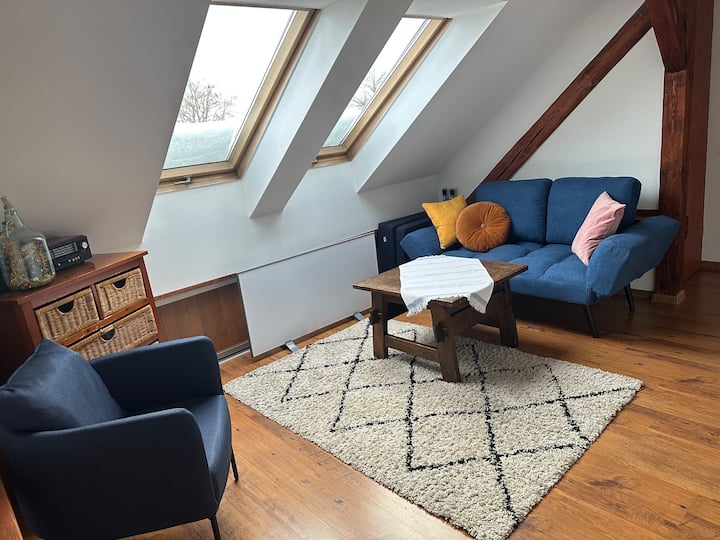 Spacious Studio Apartment | Studio Na Poddaszu - Katowice