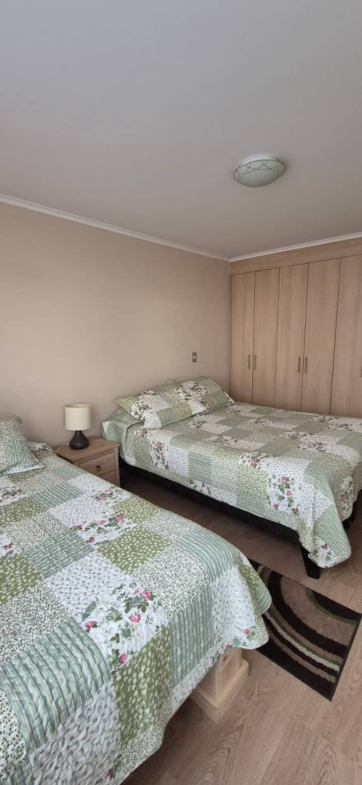 Comodo Y Acogedor Departamento Temuco Centro. - Temuco