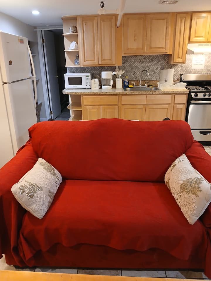 Best Bushwick Lower Level Apt 15 Mins To Manhattan - Brooklyn, NY